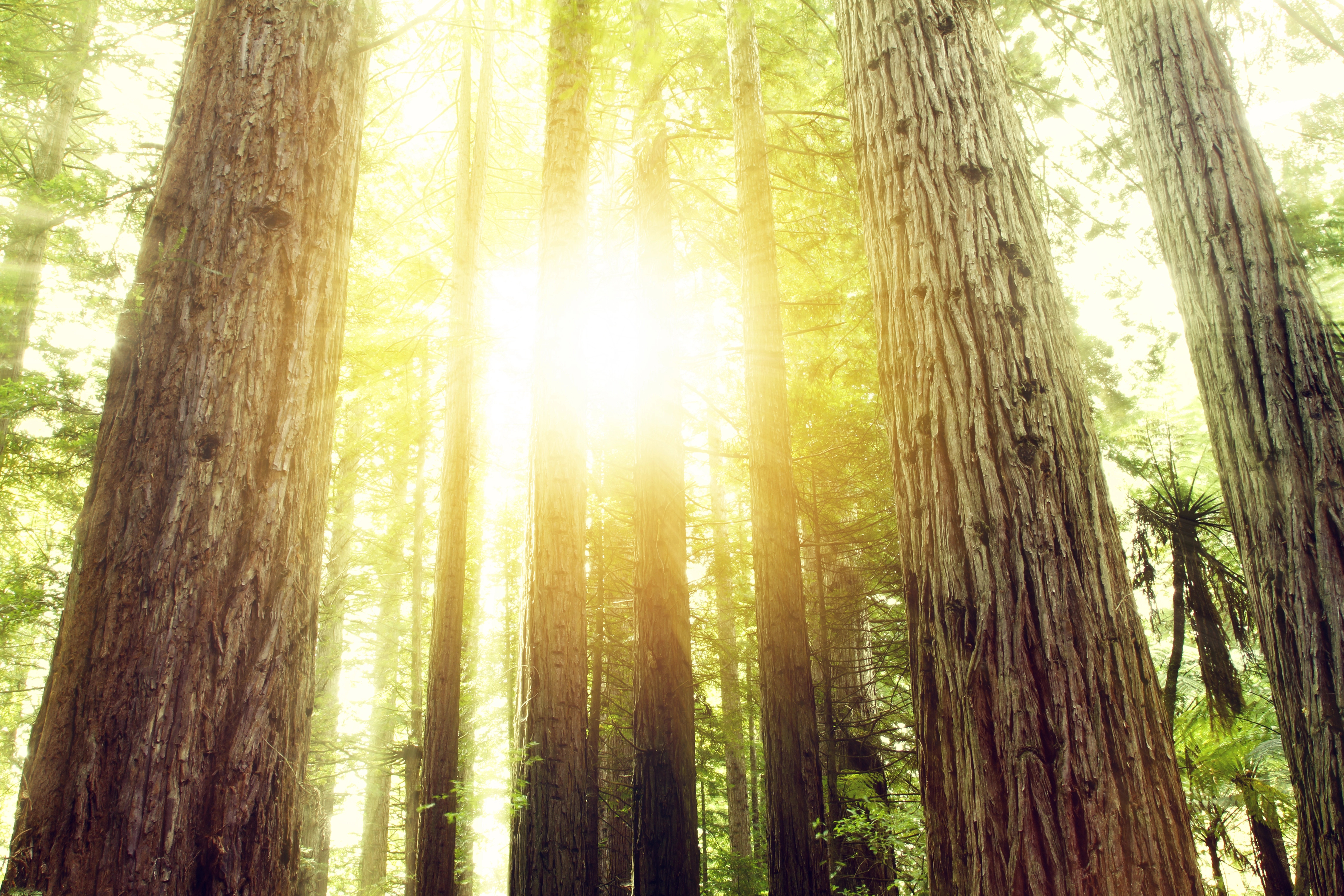 New Client: Investment Boutique Led by Bloomberg’s “Hot New Hedge Fund Female Managers to Watch ...